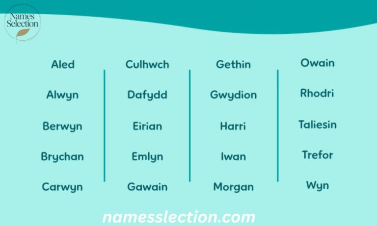 360 Welsh Boy Names and Their Meaning